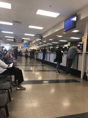 DEPARTMENT OF MOTOR VEHICLES - 100 Photos & 488 Reviews - 3700 E Willow ...