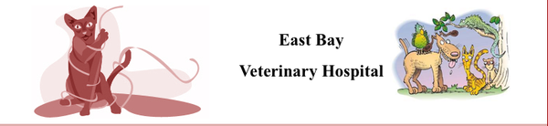 EAST BAY VETERINARY HOSPITAL - Updated October 2025 - 22 Photos & 25 ...