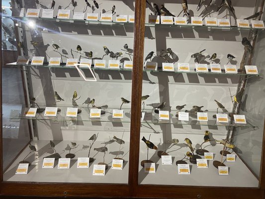 PACIFIC GROVE MUSEUM OF NATURAL HISTORY - Updated June 2024 - 294 ...