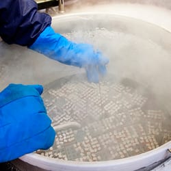 CALIFORNIA CRYOBANK - 16 Photos & 64 Reviews - 11915 La Grange Ave, Los ...