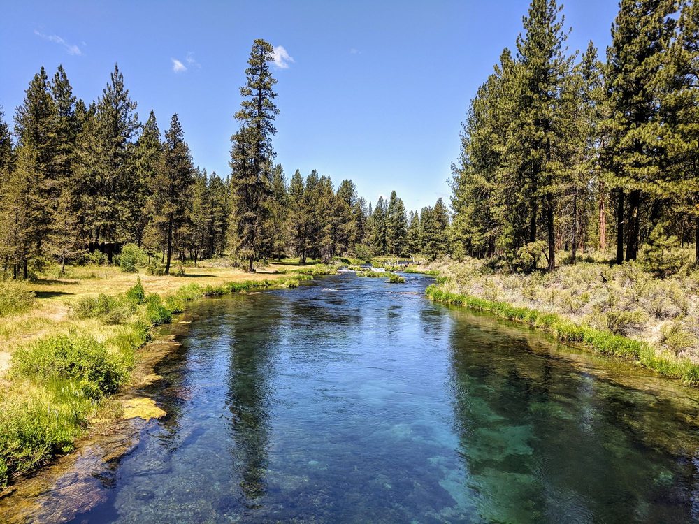 COLLIER MEMORIAL STATE PARK - Updated June 2024 - 58 Photos & 20 ...