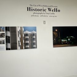 LA COUNTY LIBRARY - WEST HOLLYWOOD LIBRARY - 164 Photos & 145 Reviews ...