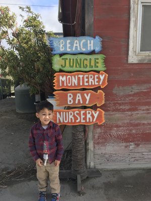 MONTEREY BAY NURSERY - Updated May 2025 - 27 Photos - 748 San Miguel ...