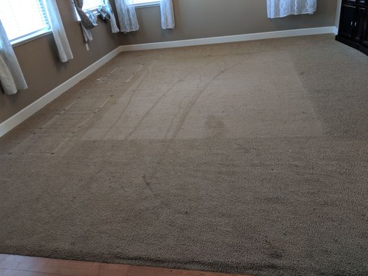 WORLD CLASS CARPET CLEANING - 186 Photos & 461 Reviews - Sacramento ...