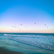 SYCAMORE COVE BEACH - 153 Photos & 29 Reviews - 9000 Pacific Coast Hwy ...