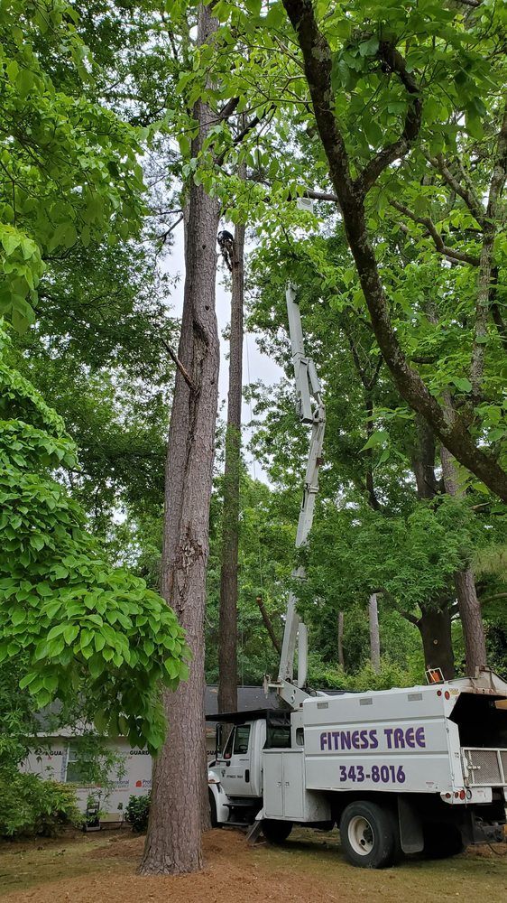 FITNESS TREE SERVICE - Updated August 2025 - 11 Photos & 22 Reviews ...