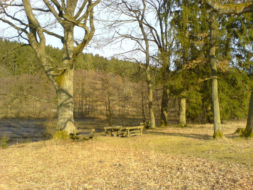 INSEKTENHOTEL - Hotels & Travel at Im Bibertal, Rüthen, Nordrhein ...