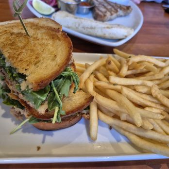 THE TOASTED FROG - Updated December 2025 - 122 Photos & 186 Reviews ...