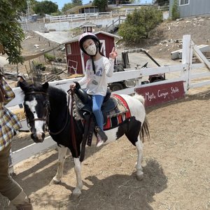 MARTIN PERFORMANCE HORSES - Updated July 2025 - 2 Empty Saddle Rd ...