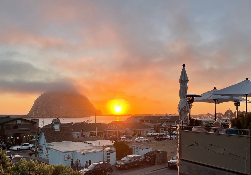 MORRO BAY T PIER SEA OTTER VIEWING AREA - Updated October 2025 - 41 ...