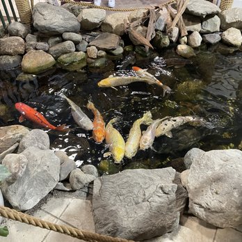 PREUSS PETS - Updated December 2025 - 97 Photos & 92 Reviews - 1127 N ...