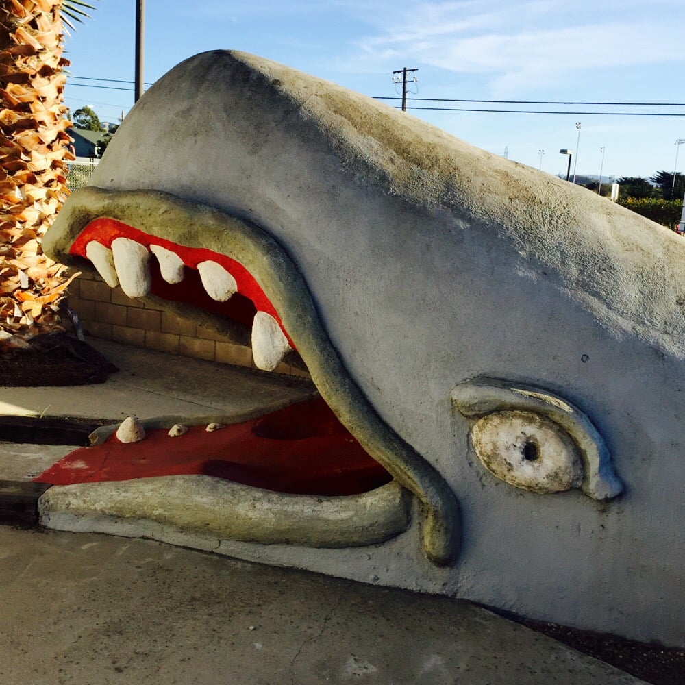 MORRO BAY SKATE PARK - Updated October 2025 - 11 Photos - 231 ...