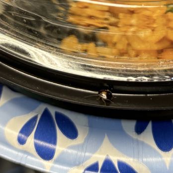 EL POLLO LOCO - Updated October 2025 - 127 Photos & 117 Reviews - 2293 ...