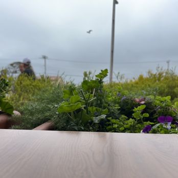 WAVE STREET CAFÉ - Updated July 2024 - 1271 Photos & 1041 Reviews - 550 ...