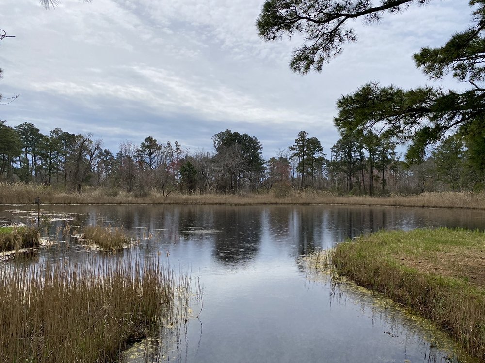 ISLAND NATURE TRAIL - Updated September 2025 - 12 Photos - 6078 Hallie ...