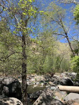 BOOTLEGGER PICNIC AREA - Updated October 2025 - 21 Photos - Arizona 89A ...