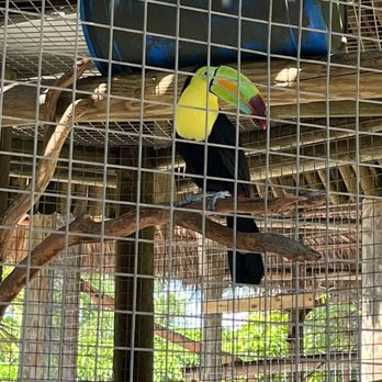 ZOOLOGICAL WILDLIFE FOUNDATION - Zoo - 16225 SW 172nd Ave, Miami ...