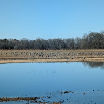 WHEELER NATIONAL WILDLIFE REFUGE - Updated October 2025 - 135 Photos ...