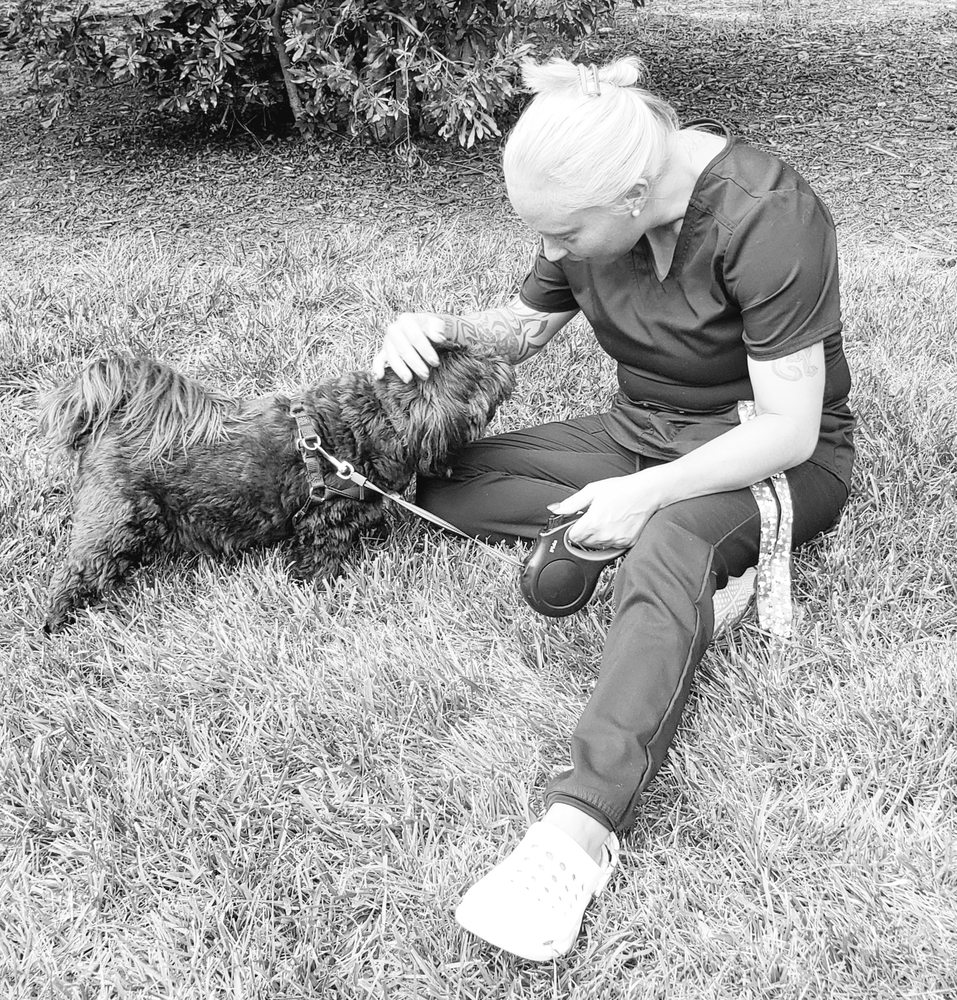 LICKETY SPLIT PETS & ERRANDS - Request a Quote - Williamsburg, Virginia ...