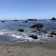 SHELL BEACH - 55 Photos - Beaches - 3095 Coast Hwy, Bodega Bay, CA - Yelp