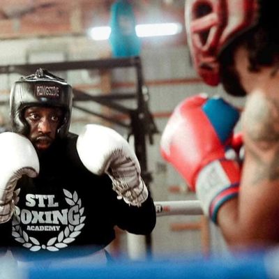 STL BOXING ACADEMY - Updated December 2025 - 45 Photos - 750 N Hwy 67 ...