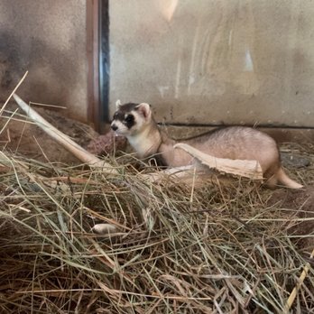 RED RIVER ZOO - Updated December 2025 - 183 Photos & 39 Reviews - 4255 ...