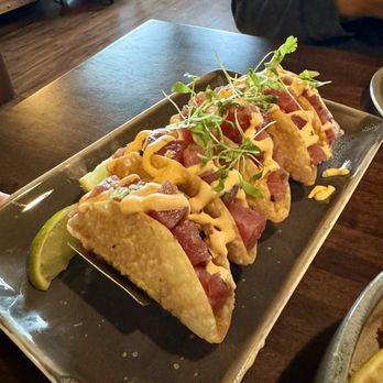 BAR DOJO - Updated April 2025 - 992 Photos & 570 Reviews - 8404 Bowdoin ...