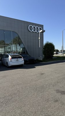 AUDI PACIFIC - Updated April 2026 - 256 Photos & 1103 Reviews - 20460 ...