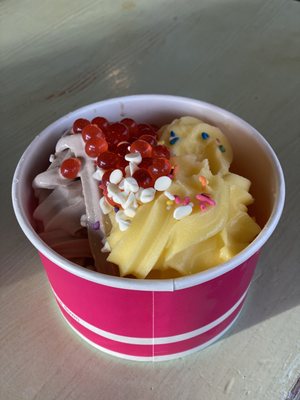 CHILLER BEE FROZEN YOGURT - 39 Photos & 66 Reviews - 2920 I 45 N ...