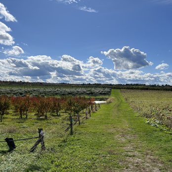 BELKIN FAMILY LOOKOUT FARM - Updated December 2024 - 210 Photos & 306 ...