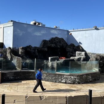 LONG ISLAND AQUARIUM - Updated March 2025 - 1149 Photos & 329 Reviews ...