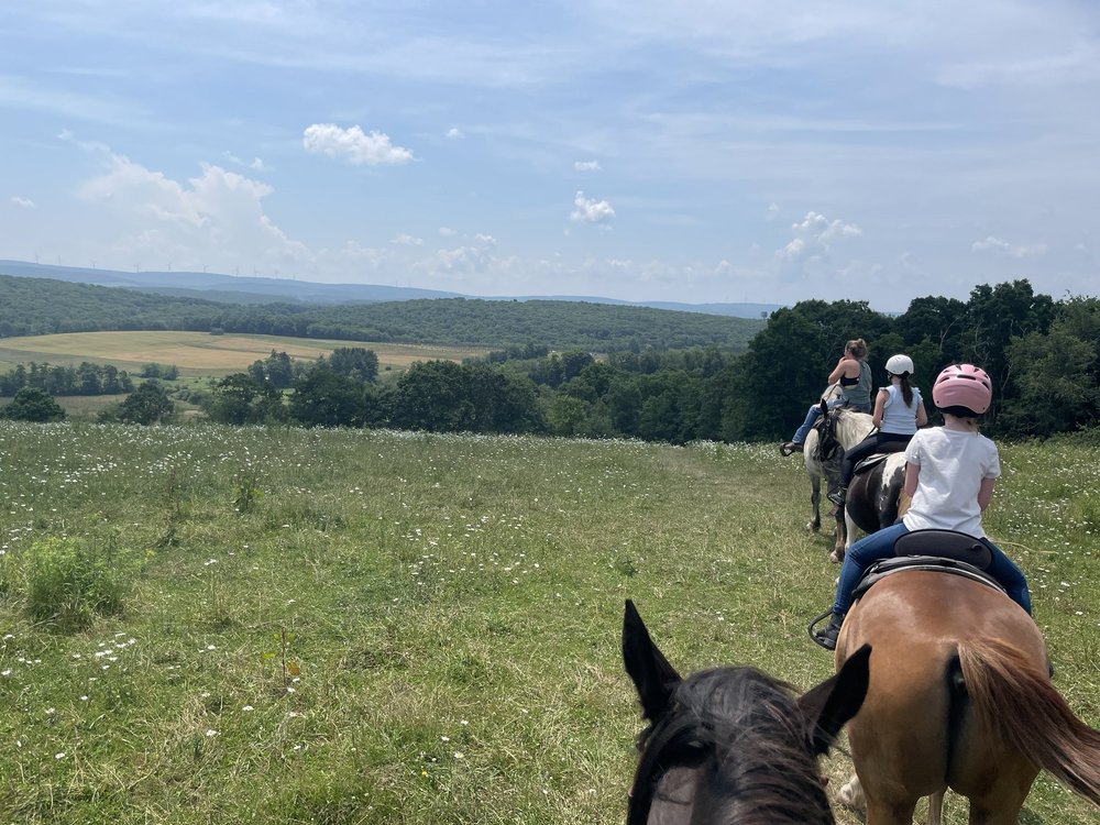 CIRCLE R RANCH - Updated June 2025 - 20 Photos & 27 Reviews - 4151 Sand ...