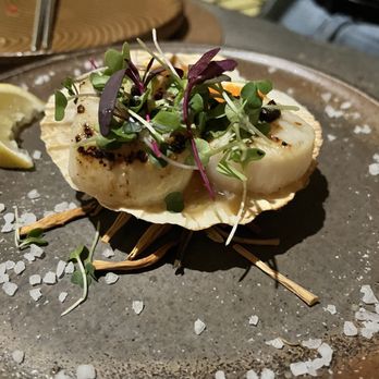 NOKA - Updated April 2025 - 437 Photos & 116 Reviews - 334 E 31st St ...