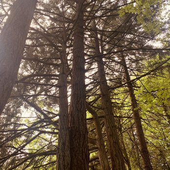 KELLY BUTTE NATURAL AREA - Updated December 2025 - 31 Photos & 11 ...