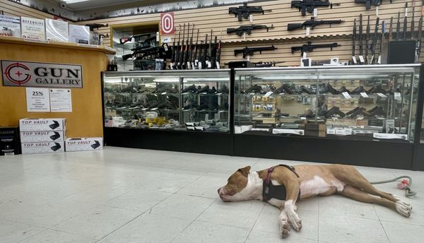 GUN GALLERY - Updated October 2025 - 83 Photos & 287 Reviews - 1121 S ...