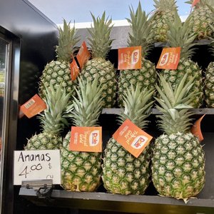 SAMI FRUITS - Updated July 2025 - 1550 Daniel Johnson, Laval, Quebec ...