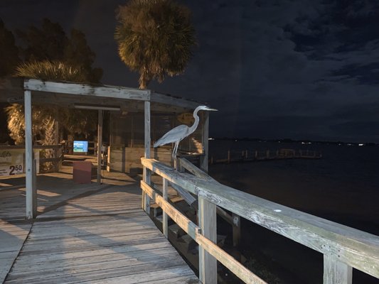 PINEDA INN BAR & GRILL - 65 Photos & 99 Reviews - 6533 US Hwy 1 ...