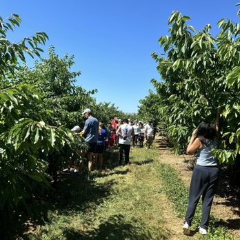 LARRILAND FARM - Updated December 2025 - 438 Photos & 217 Reviews ...