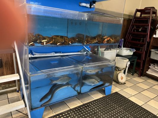 SHING KEE - Updated October 2025 - 234 Photos & 114 Reviews - 600 ...