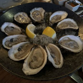 FAUNA FOOD + BAR - Updated January 2026 - 195 Photos & 97 Reviews - 425 ...