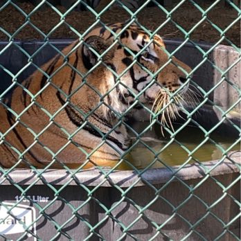 BEE CITY ZOO - Updated July 2025 - 396 Photos & 118 Reviews - 1066 ...