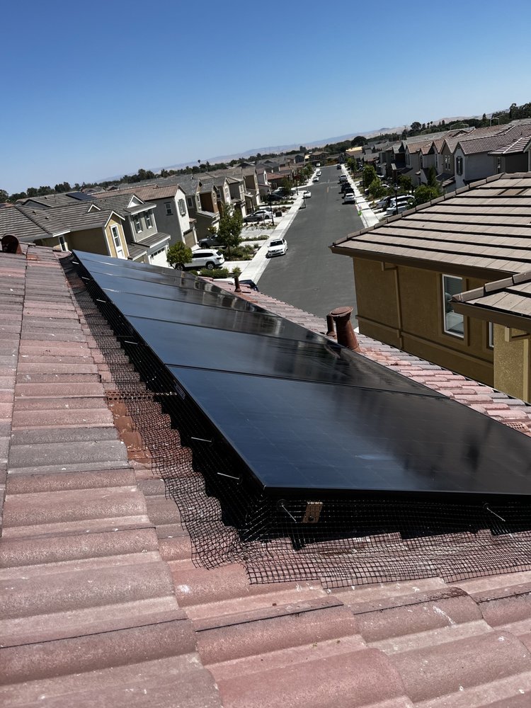 BIRD PROOF - Updated November 2025 - 92 Photos - 63 Reviews - 2194 ...