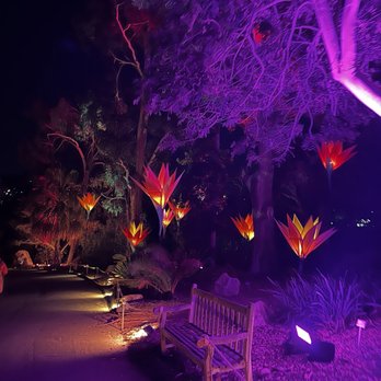 LIGHTSCAPE SAN DIEGO - Updated November 2024 - 189 Photos & 38 Reviews ...