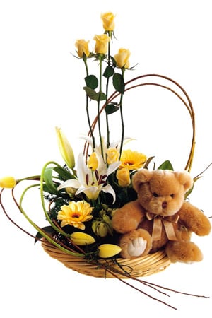 ROSE BAY FLORIST & NURSERY - Updated March 2024 - 12 Photos - 797-799 ...