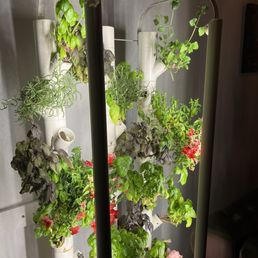 SIMONE ON SUNSET - Updated March 2025 - 391 Photos & 413 Reviews - 2418 ...