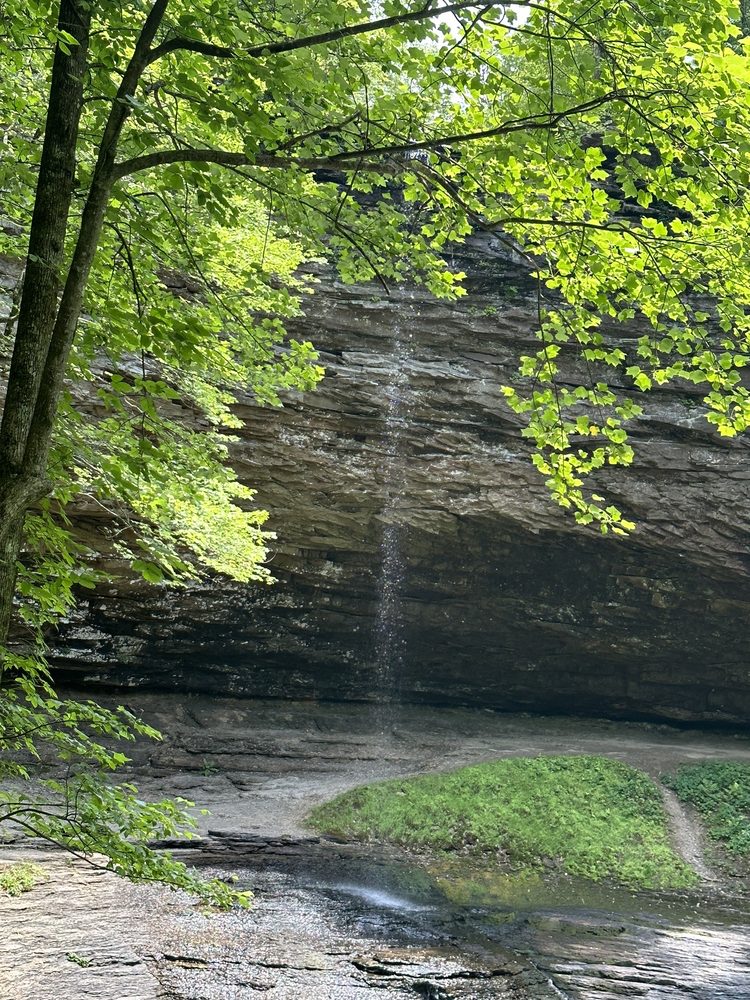 PINEY FALLS - Updated November 2024 - 37 Photos - 760-1998 Firetower Rd ...