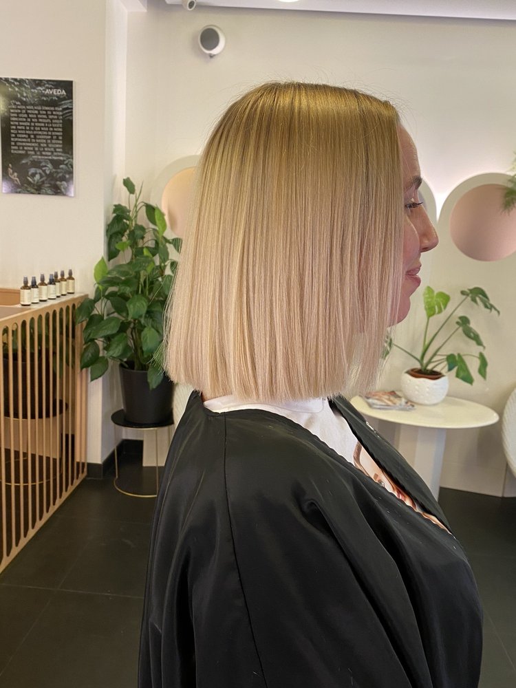 SARAVY - Updated March 2024 - 27 Photos & 17 Reviews - 29 rue Saint ...