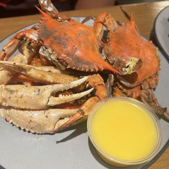 ROYAL BUFFET AND GRILL - Updated March 2025 - 115 Photos & 85 Reviews ...