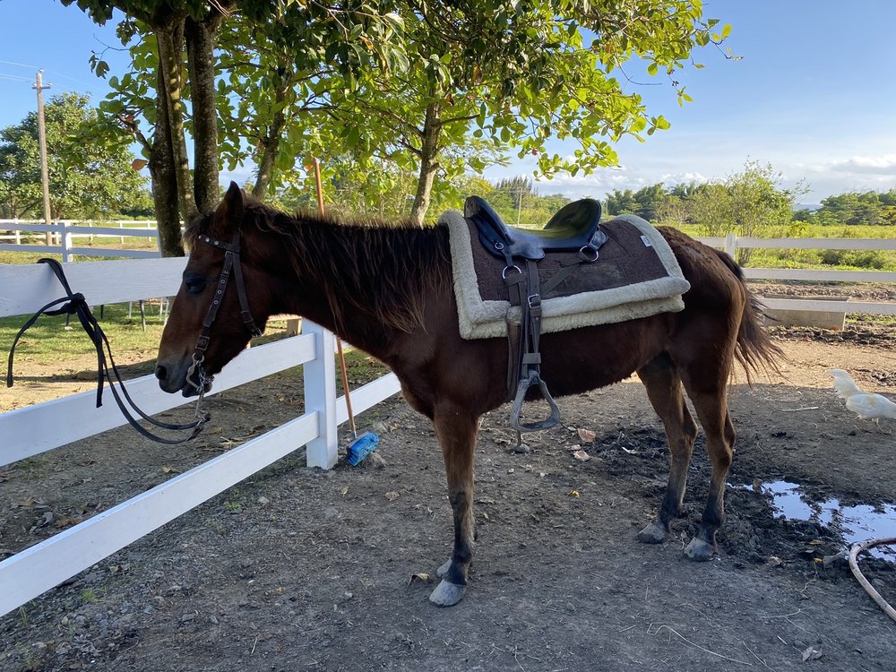 CAMPO RICO TRAIL RIDES - 173 Photos & 64 Reviews - Avenida Campo Rico ...