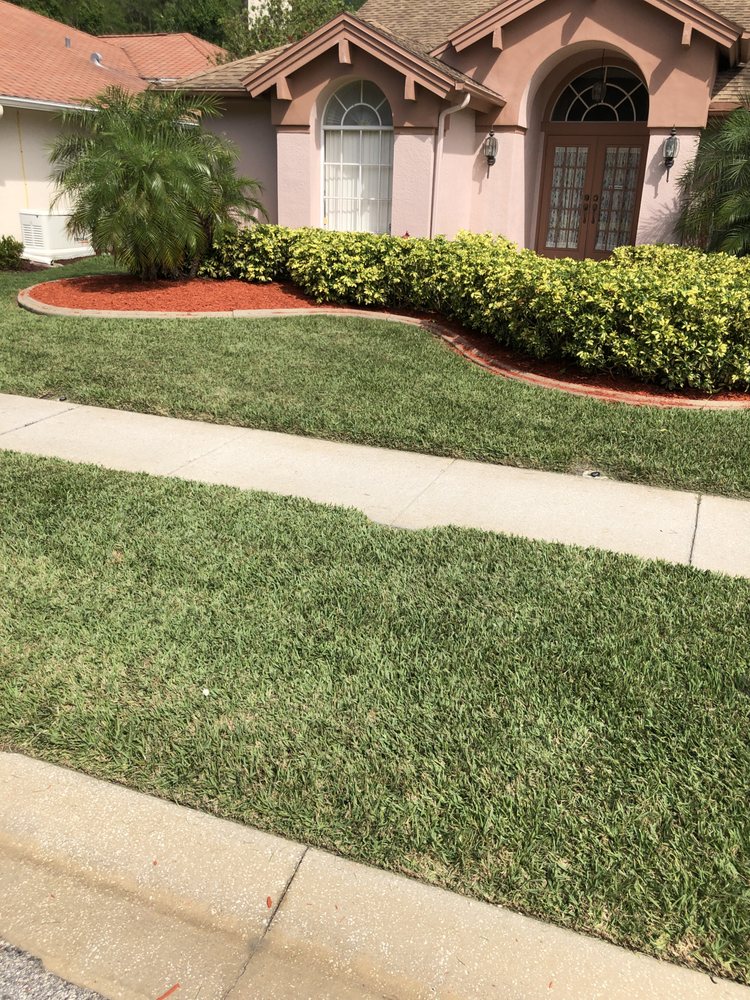 PRUNER& POTTS - Updated November 2024 - Request a Quote - Spring Hill ...